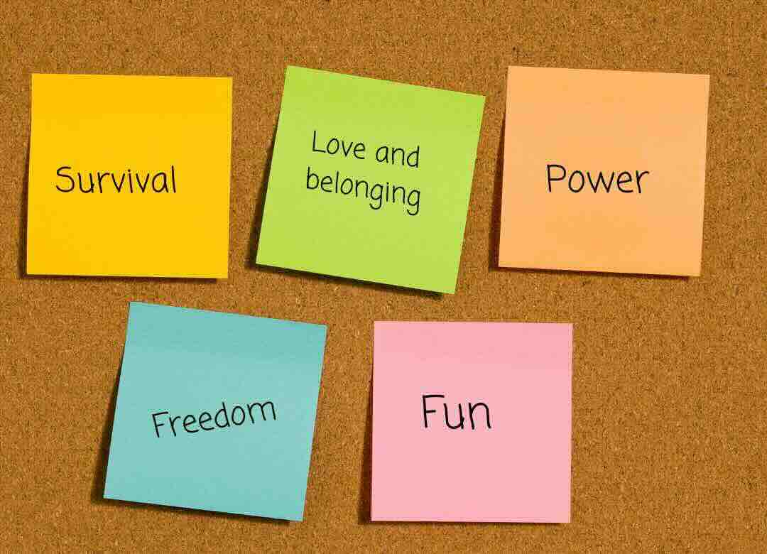 William Glassers Five Basic Needs A Path To Getting Unstuck